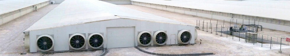 Advanced Cow Cooling | AgproUSA