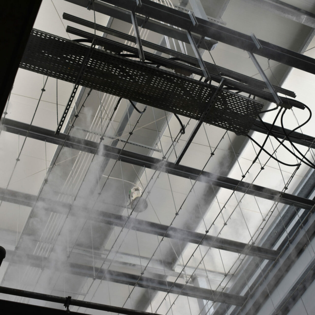 Advanced Cow Cooling | AgproUSA